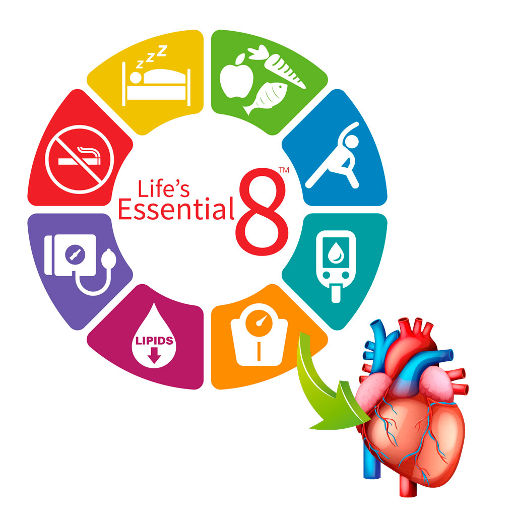 Estudio sobre Life’s Essential 8 y Enfermedades Cardiovasculares ...